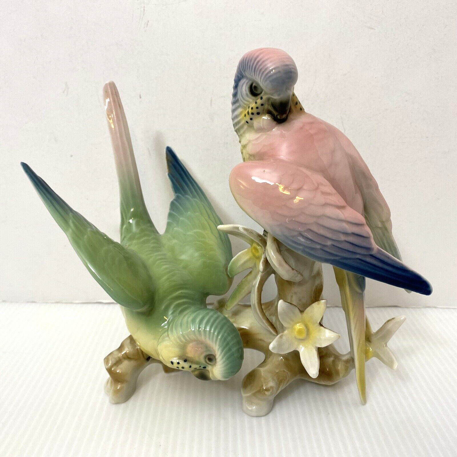 Wilhelm Rittirsch Dresden Porcelain Parakeet Parrot Bird Figurine Not ...
