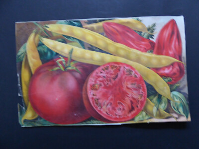 Large Burpee's Ruby King Pepper illustrated trade advertising leaflet ...