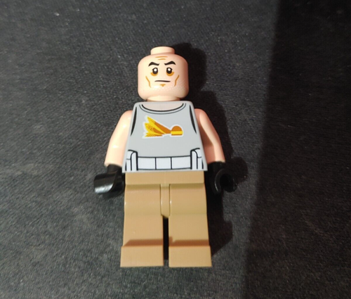 Lego Star Wars Minifigur Commander Gregor sw0748 | eBay.de