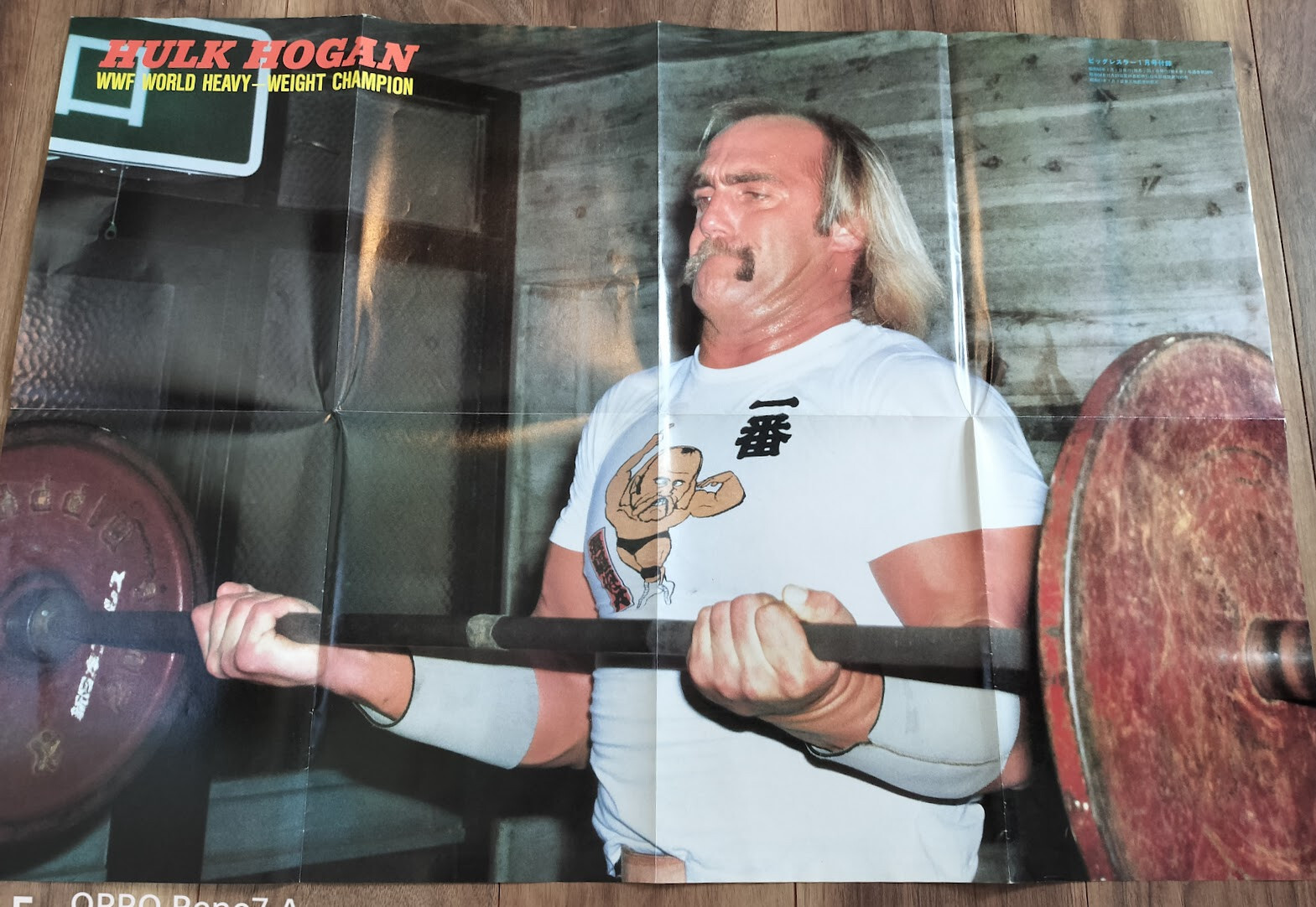 Old Japanese Poster Hulk Hogan nWo WWE WWWF WCW | eBay