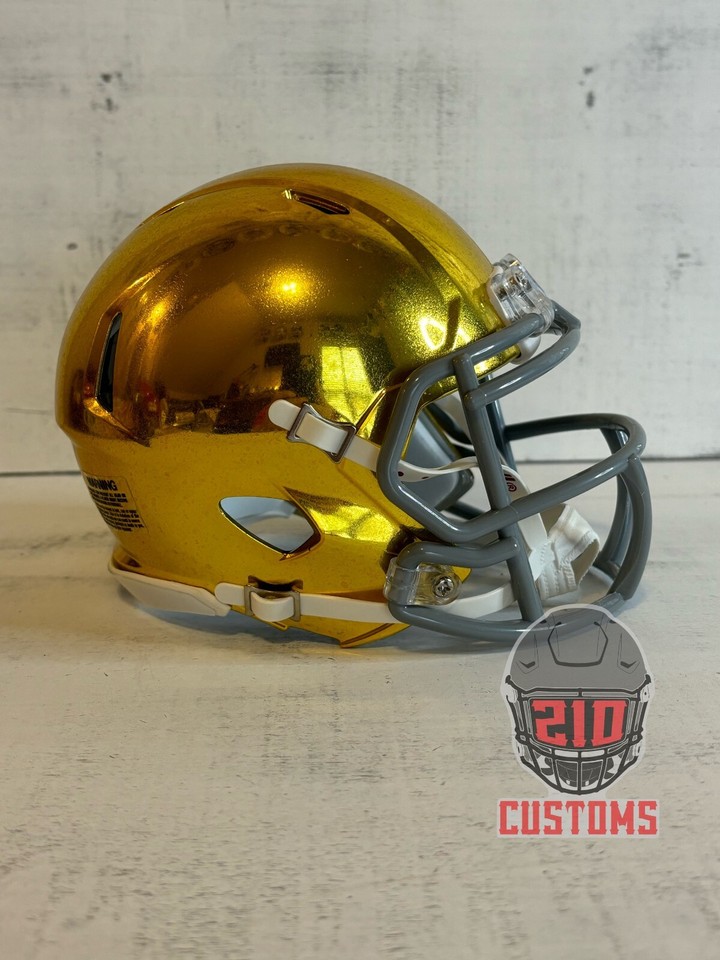 Riddell Notre Dame Fighting Irish Riddell NCAA Mini HydroSkin Speed ...