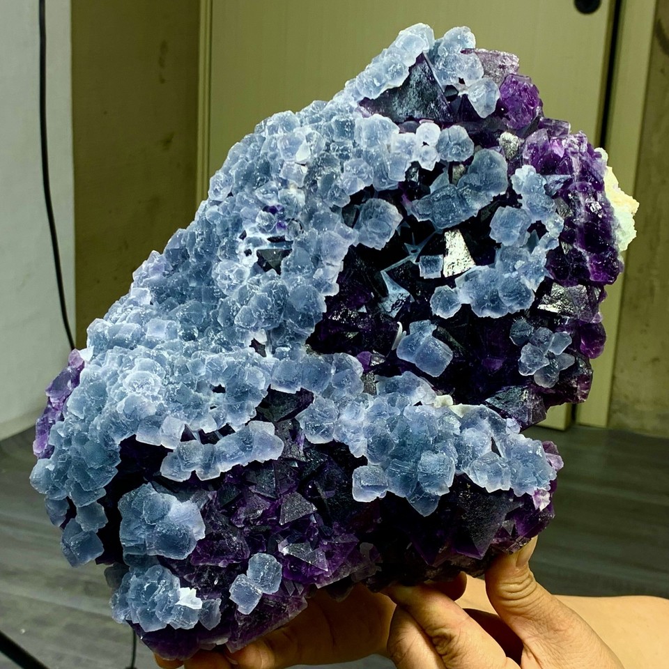25.21LB Natural transparent purple octahedral fluorite mineral crystal ...