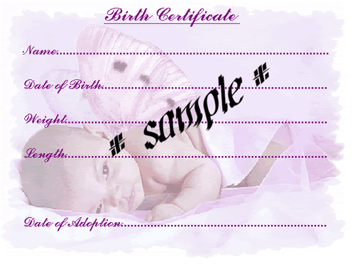 GORGEOUS PINK BIRTH CERTIFICATE/CERTIFICATES 4 REBORN FAKE BABY approx ...