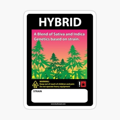 5x pack cannabis hybrid label Laptop sticker weed skateboard car truck ...
