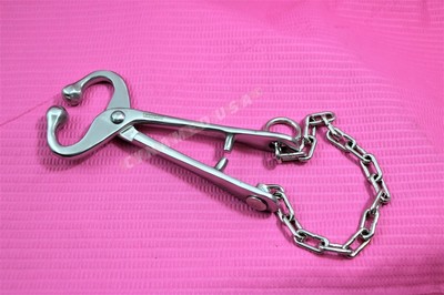 NEW Bull Cow Nose Lead With Chain Show Cattle Eartag Vaccinator ...