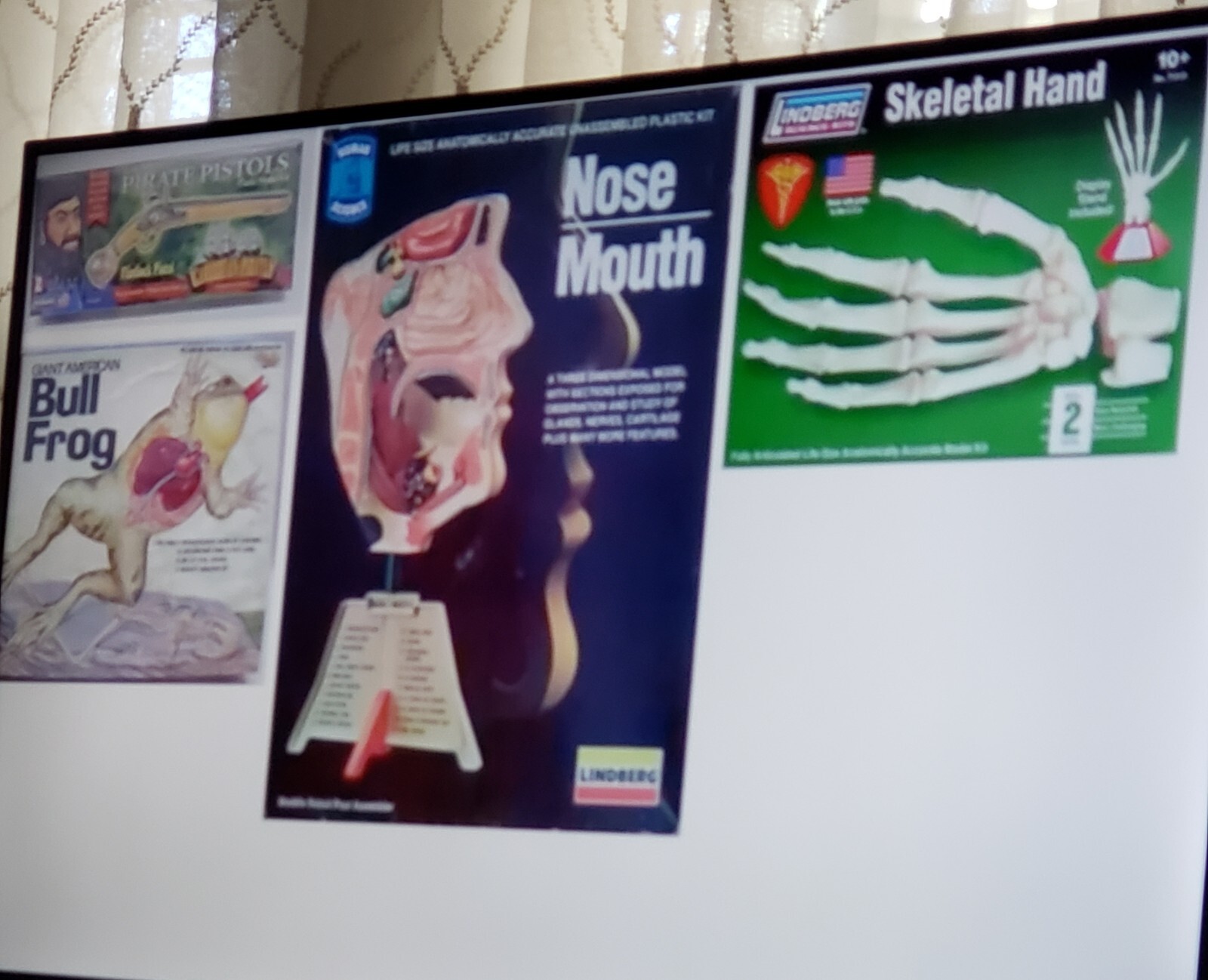 Lindberg Human Ear Nose & Mouth 3D Scale Model Kit 1982 +a bonus poster ...