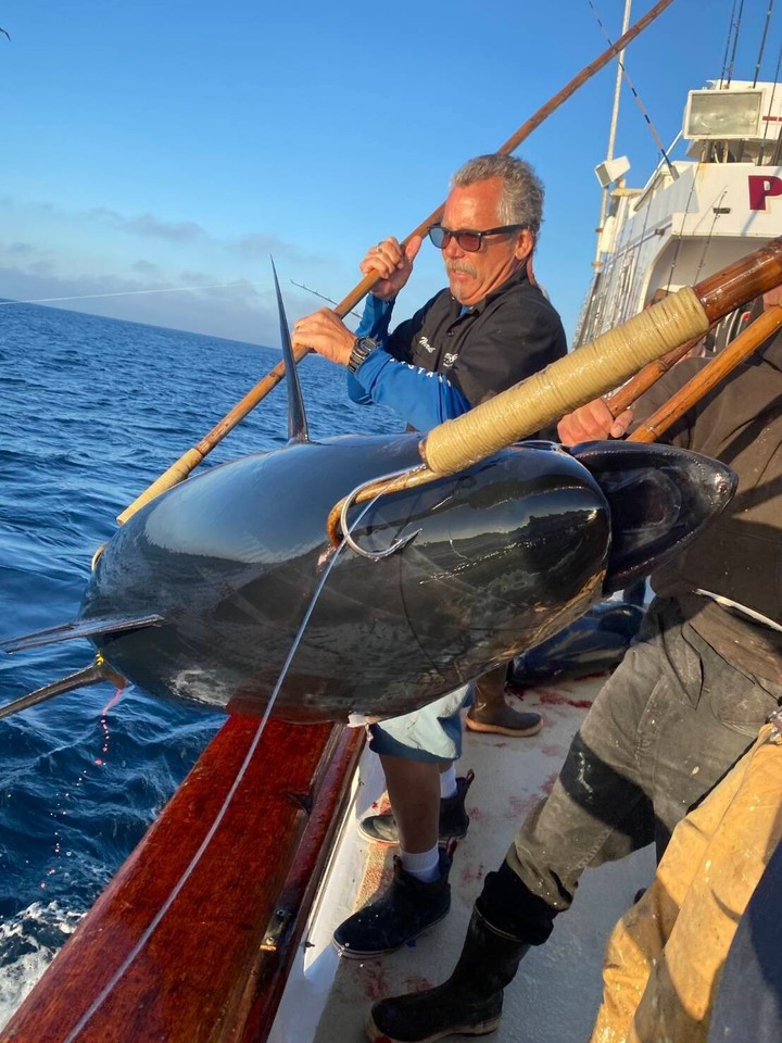 Two Jaws Nano Railrod Blank 7'3" MONO 50~120lb PE Line rating 80~130lb ...