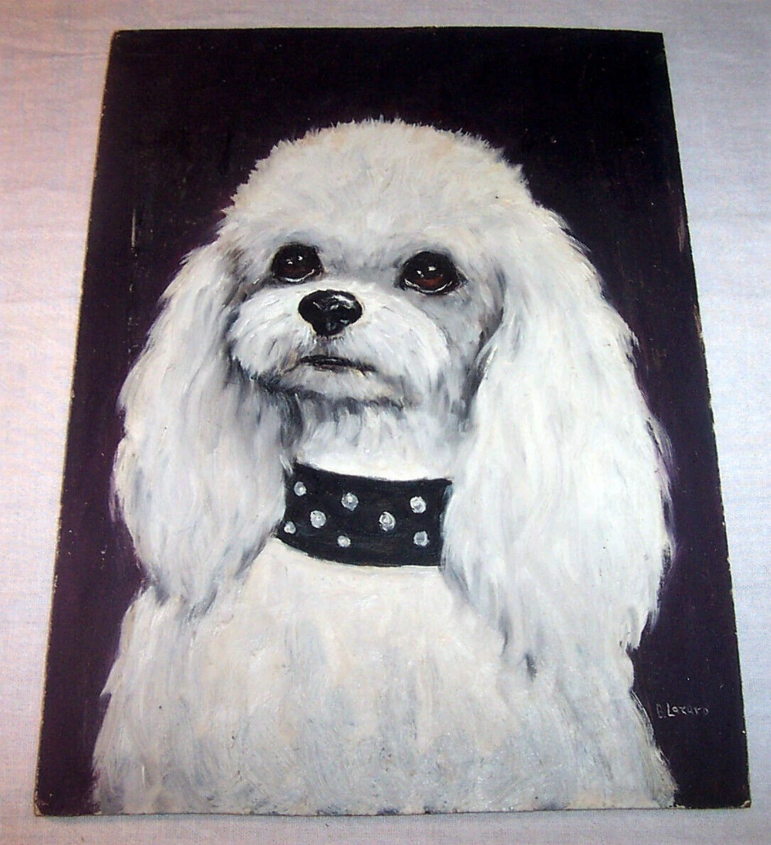 Images De Jolis Chiots Blancs