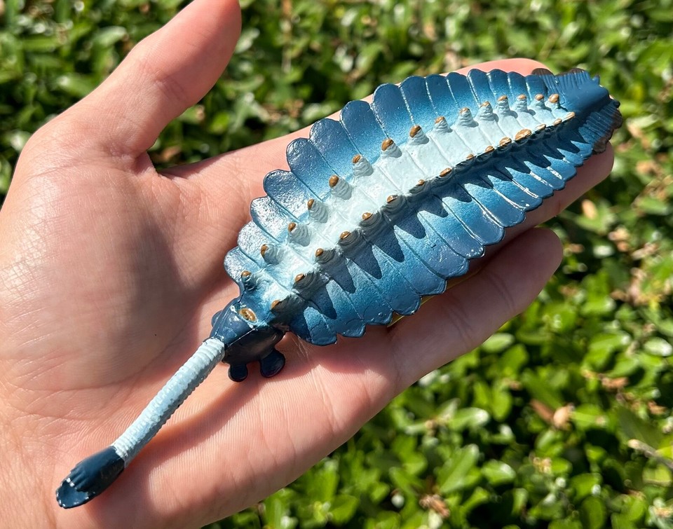 Opabinia Arthropod Fossil Model Display Replica Toy Teaching ...