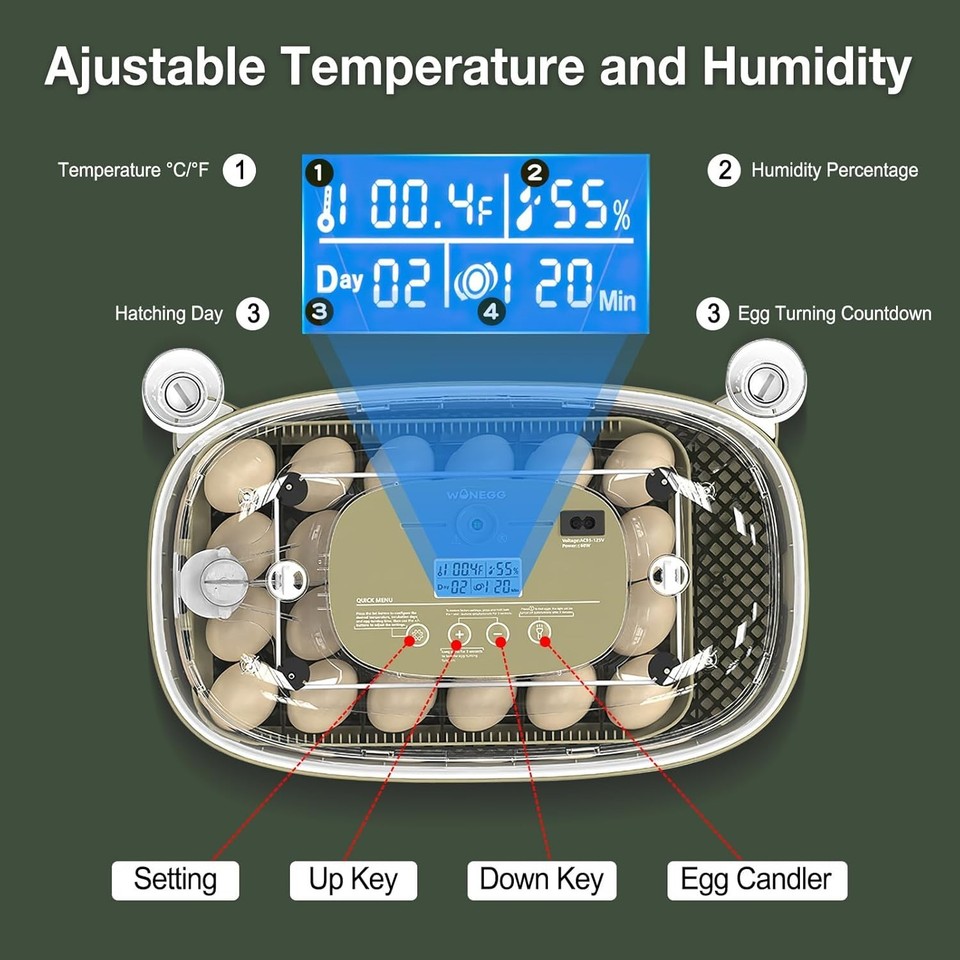 24 Eggs Incubator with Automatic Egg Turning, Temperature & Humidity ...