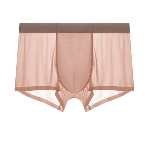 Sexy Men Briefs Sheer See Through Boxer Mesh Underwear Shorts Trunks ...