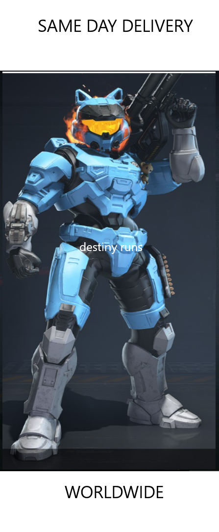 Halo Infinite Action Block Armor Coating - RARE | eBay