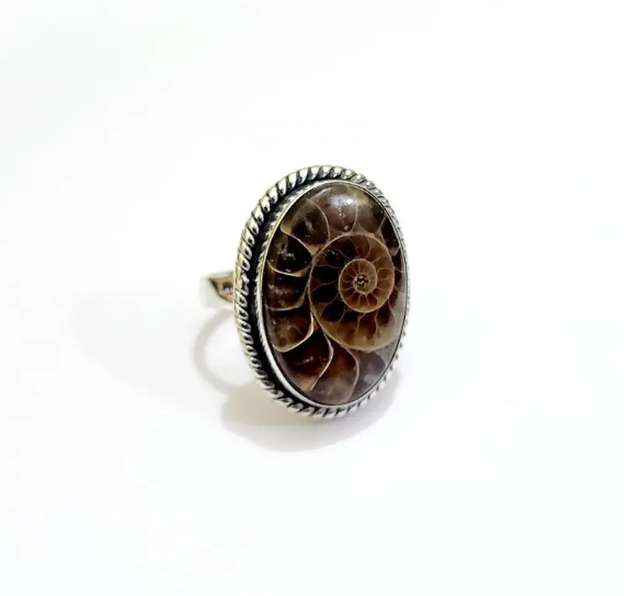 Ammonite Fossil Ring: Handmade 925 Sterling Silver Statement Ring All ...