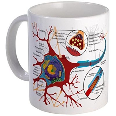 11oz mug Neuron cell - Printed Ceramic Coffee Tea Cup Gift | eBay