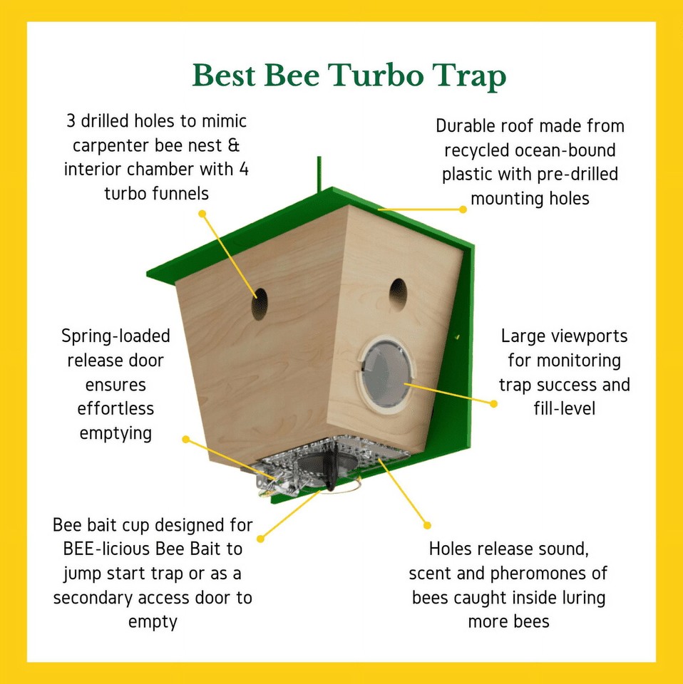 Best Bee Brothers Carpenter Bee Trap: Internal Turbo Funnel, Large ...