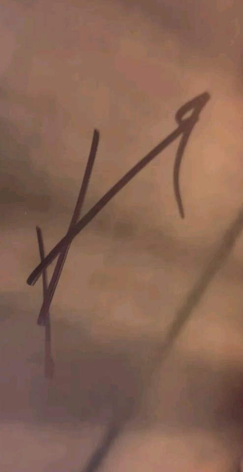 Jared Leto Joker Suicide Squad Autographed Signed 8x10 Photo W COA | eBay