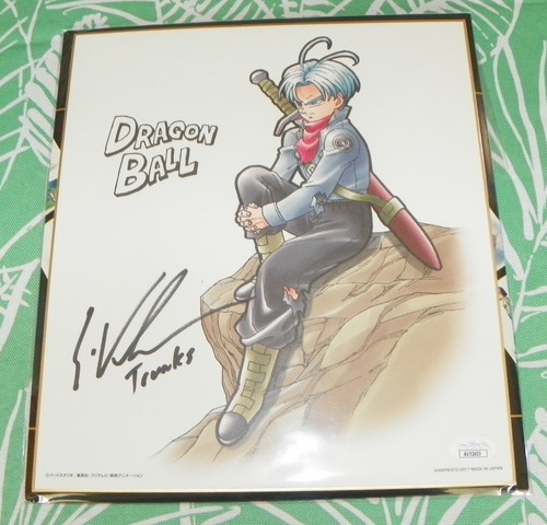 Eric Vale Future Trunks Dragon Ball Z Signed Large Shikishi Art Board ...