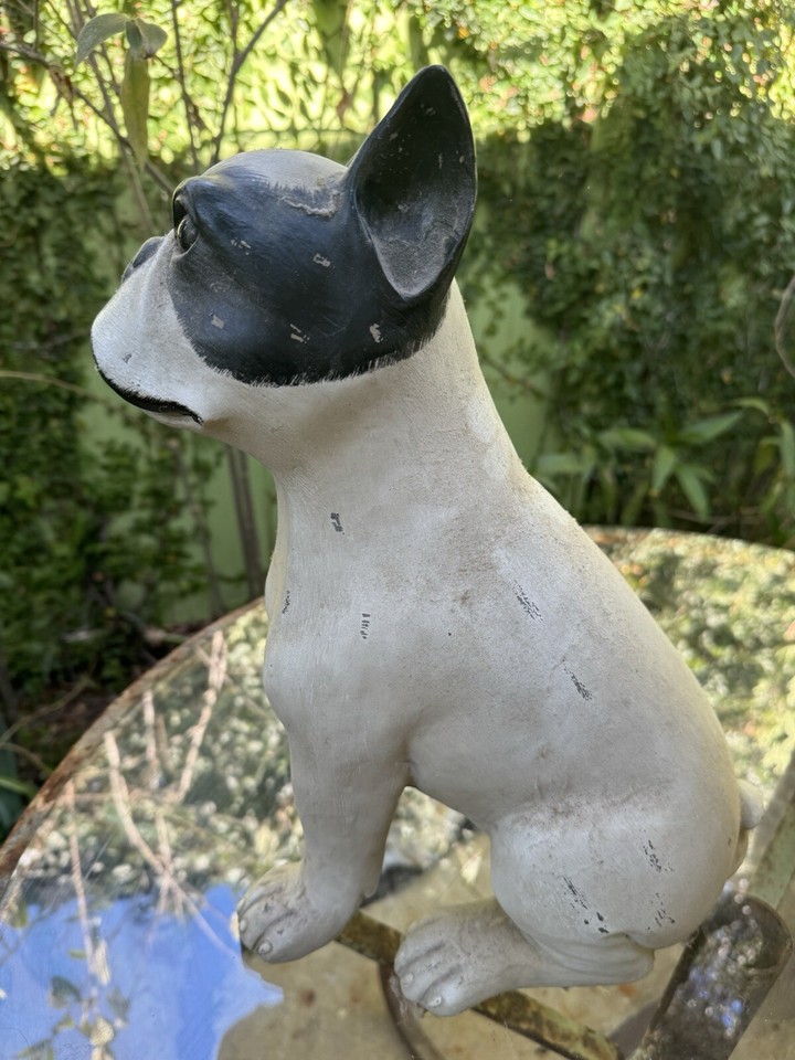 Adorable Vintage Life sized Boston Terrier Chalkware Figure With Glass ...