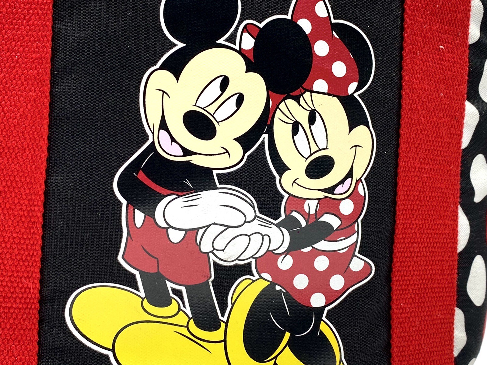 Disney Collection Mickey Mouse And Minnie Mouse Insul… Gem