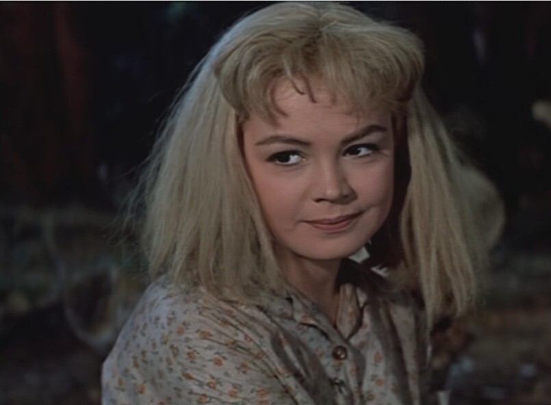 The Wild and the Innocent 1959 DVD - Audie Murphy, Sandra Dee, Gilbert Roland | eBay