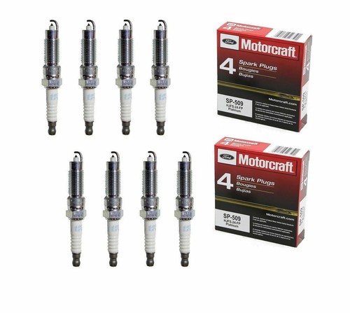Set of 8 Genuine Motorcraft Spark Plug SP509X HJFS-24FP For Ford ...