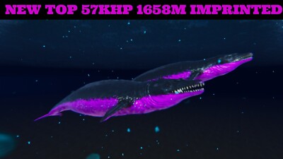 🔥ARK Survival Ascended PvE PC/XBOX/PS Top Stats Basilosaurus 1658M ...