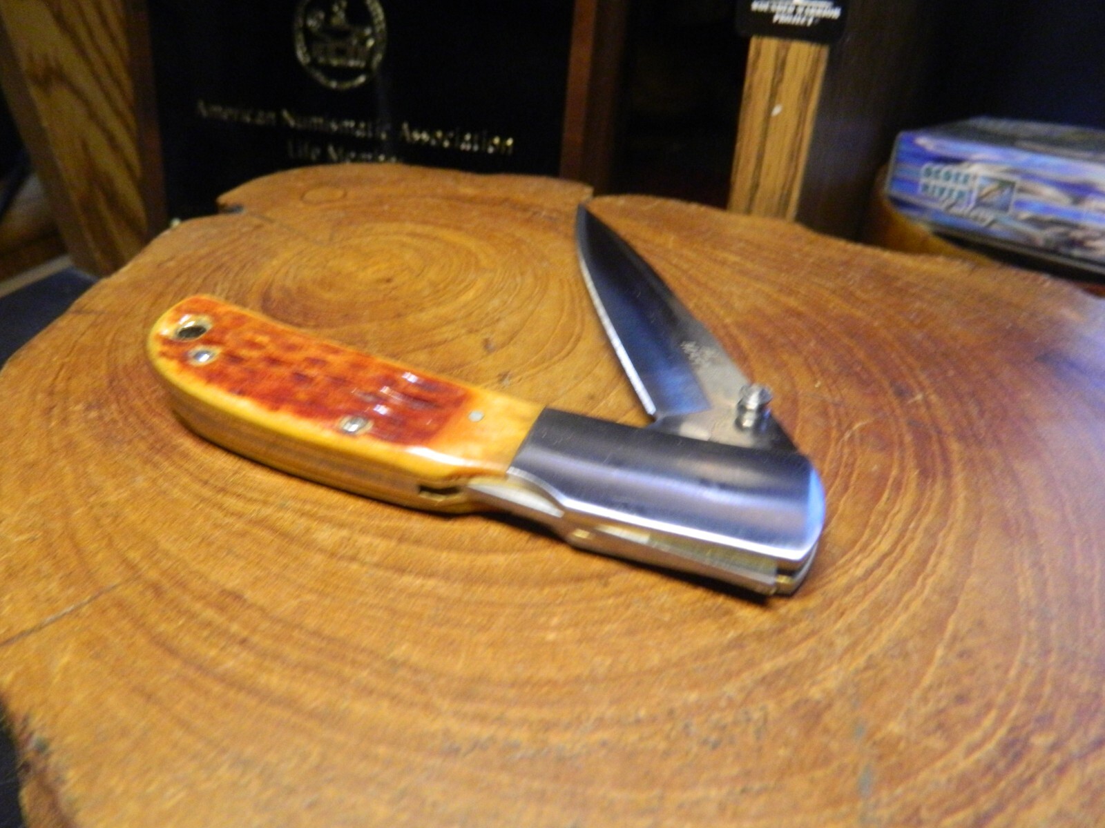 ALMAR KNIVES AMK-7004 4" CL. AUS-8 S.S. BLADE SPEAR POINT HONEY BONE ...