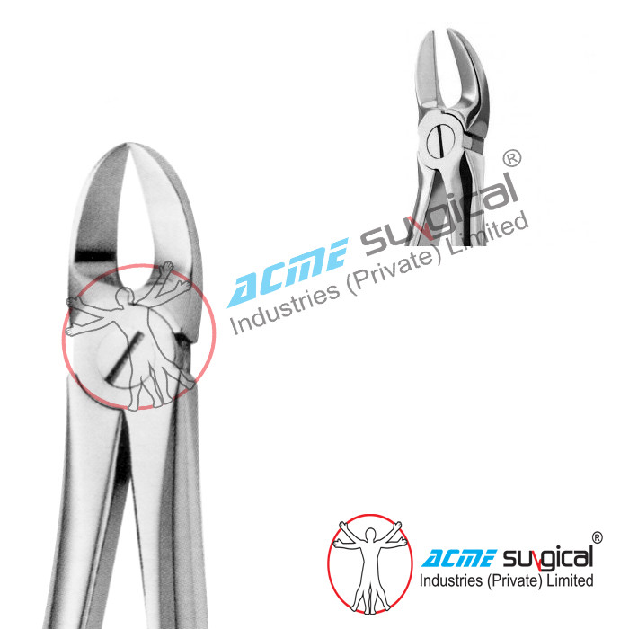 Dental Extracting Forceps, English Pattern, #.55, For Separating Upper ...