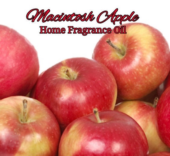 Macintosh Apple Home Fragrance Aromatherapy Diffuser Warmer Burning Oil ...