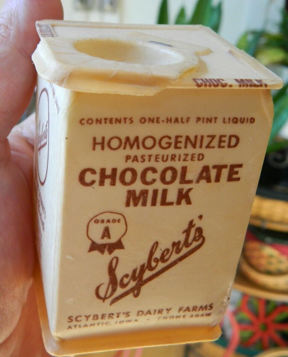 School Chocolate Milk Carton