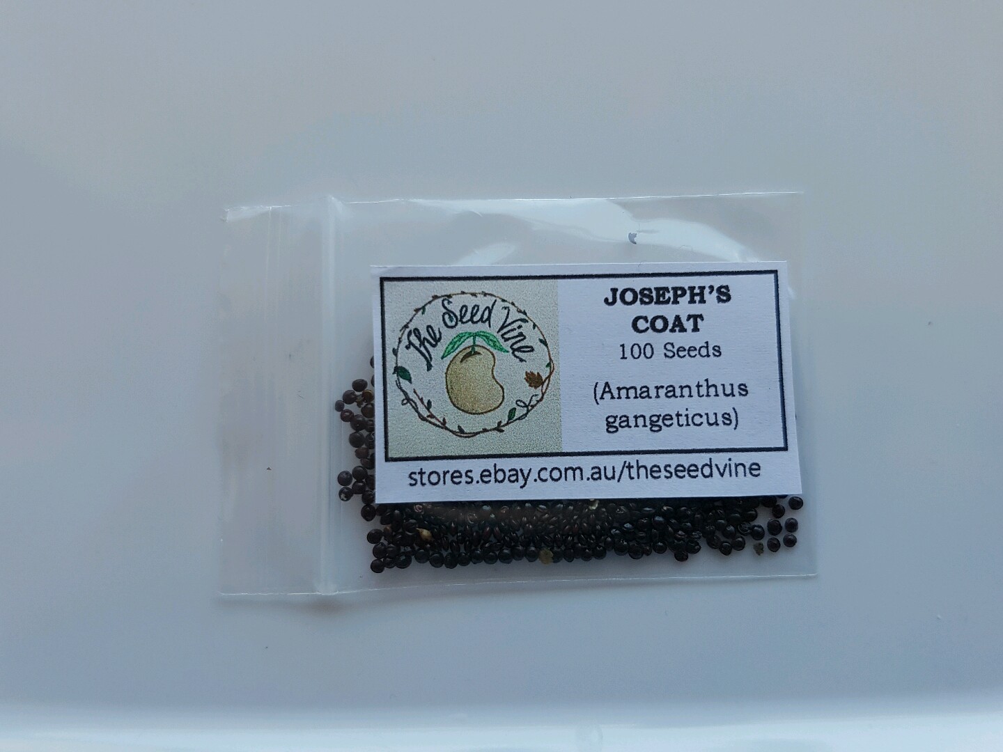 100+ JOSEPH'S COAT SEEDS ORGANIC (Amaranthus gangeticus) Tricolor ...