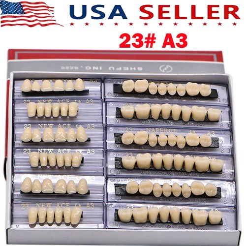 Acrylic Resin Denture 23#A3 Shade Dental Teeth Upper Lower Full Set ...