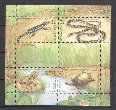 Moldova 2005 Fauna Animals Snake Frog Turtle Reptiles MNH sheet | eBay