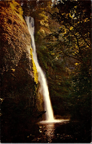 HORSETAIL FALLS Columbia River Scenic Highway OREGON waterfall Postcard ...