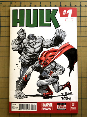 Tim Vigil Sketch Cover, 2014, Hulk 1, original art, signed | eBay