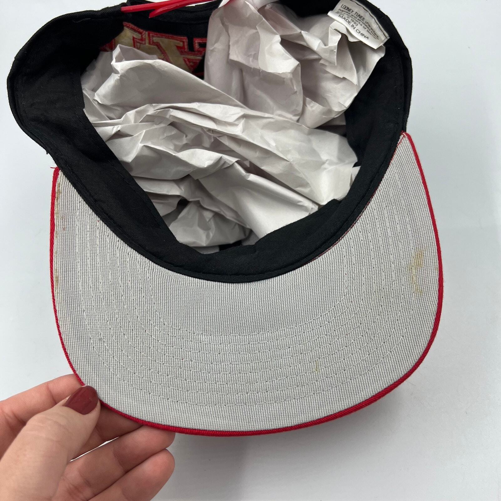 Vintage 1993 Looney Tunes Tazmania Taz Devil Embroidered Baseball Cap ...