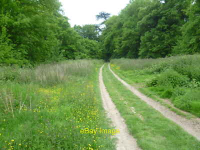 Photo 12x8 Path to Oxon Hoath This footpath leaves the Greensand Way ...