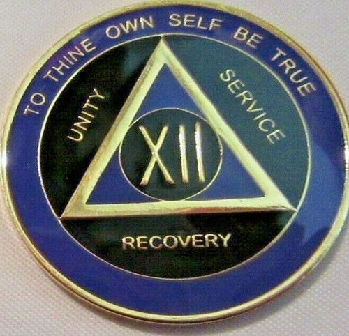 Purple AA Alcoholics Anonymous 12 Year Medallion Token Chip Coin ...
