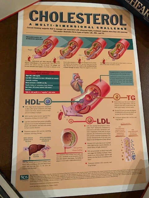 Cholesterol Posters