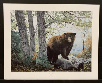 Charles Frace Limited Edition Signed Print “Morning Watch” Black Bear ...