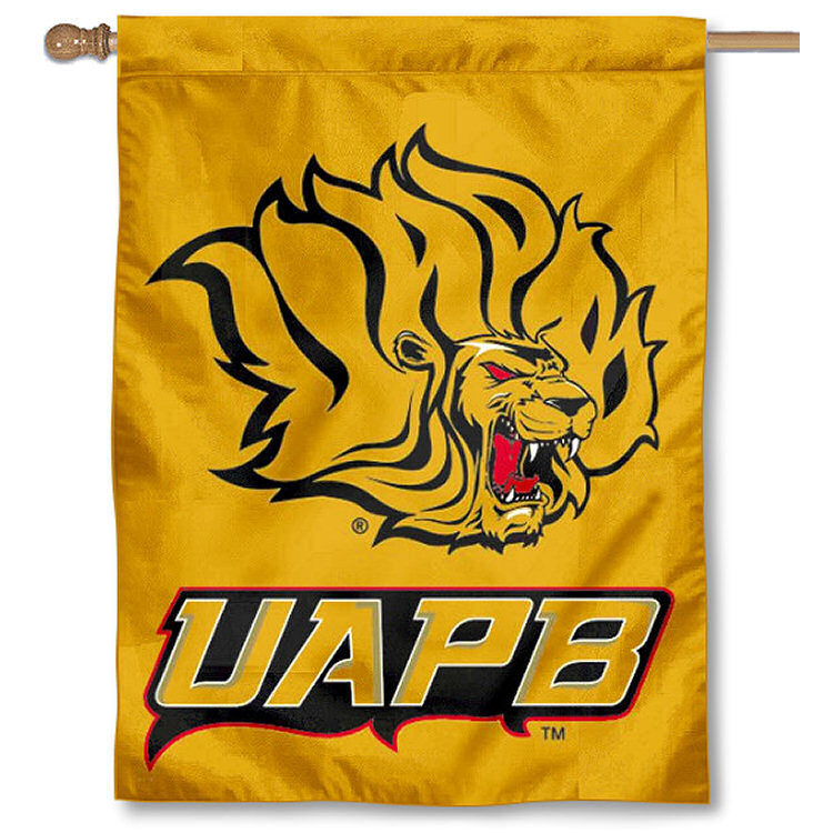 Uapb Golden Lions Logo