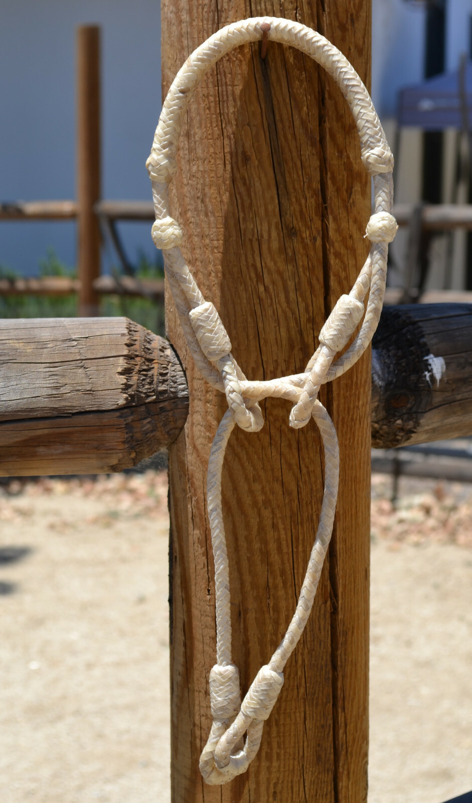 Jose Ortiz 100 Hand Braided Rawhide Indian Hackamore 8 Plait Red ...