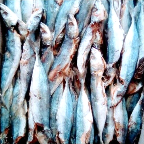Sun Dried Linna Mackerel Fish Ceylon Sea Food Chemical Free 100% Pure ...