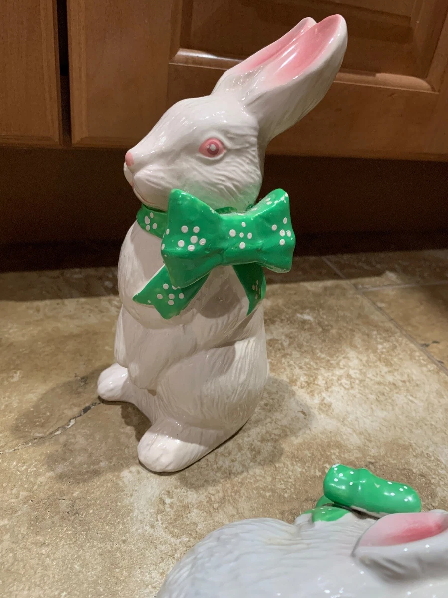 Spring Hare Sleeping