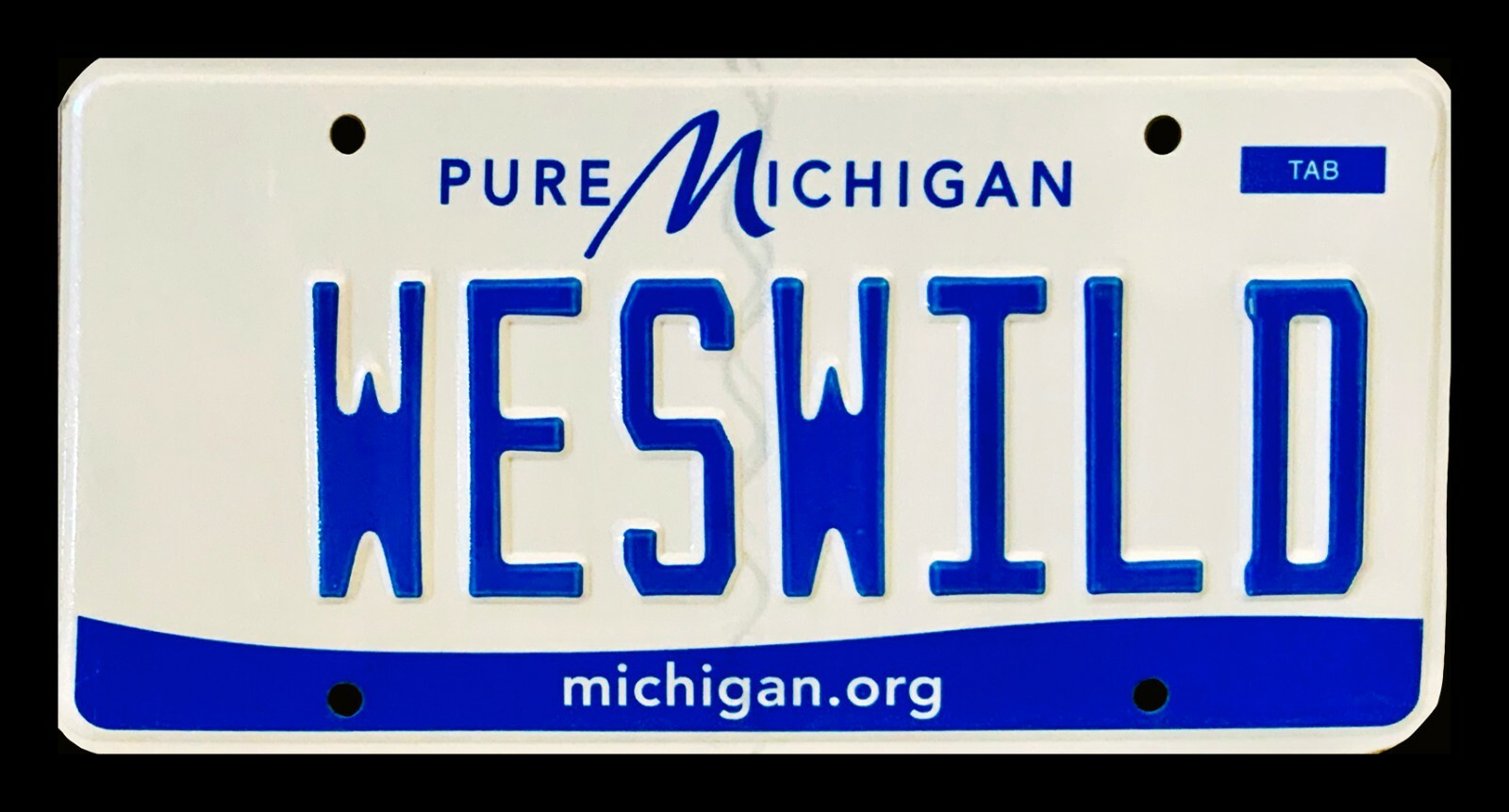 WILD WONDERFUL WES VANITY AUTO LICENSE PLATE " WESWILD " WESLEY WESLY ...