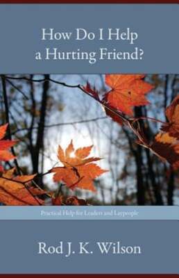 How Do I Help a Hurting Friend? by Rod J K Wilson: Used 9781573834483| eBay