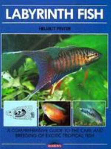 Labyrinth Fish by Pinter, Helmut 9780812056358 | eBay