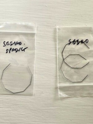 SEIKO BEZEL RETAINING SPRING - 1 pcs | eBay