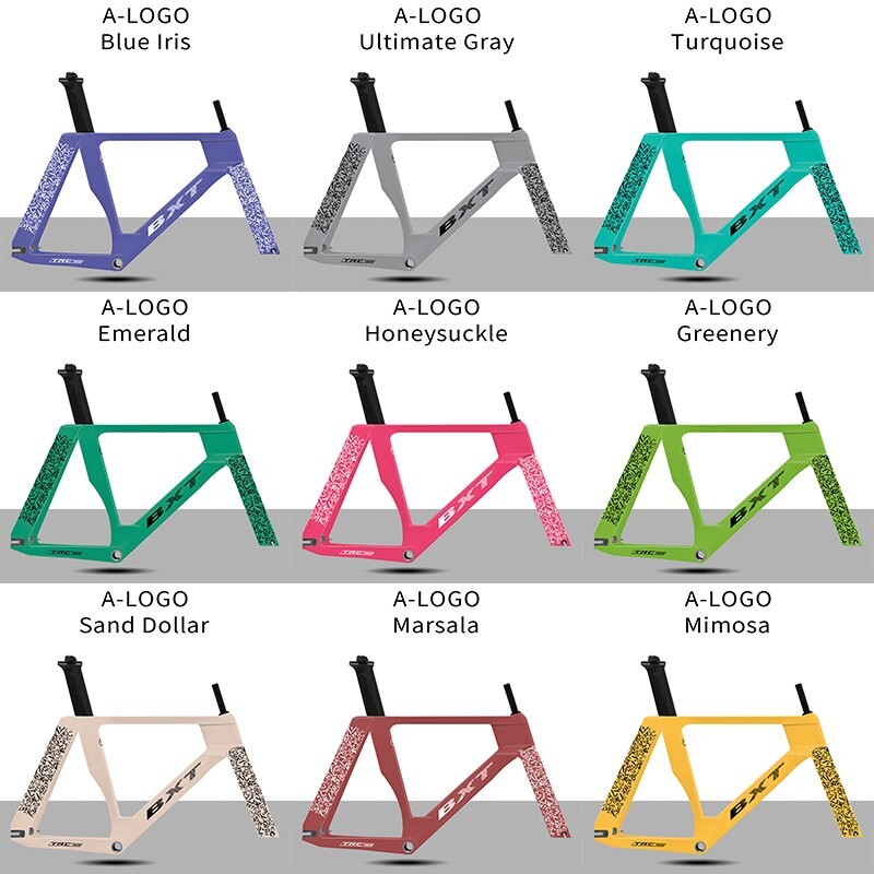 BXT New Full Carbon Fiber Track Frame BSA Road Bike Frame 700c Rigid ...