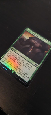 Pippin's Bravery (0182) Foil Lord of the Rings Magic the Gathering card ...